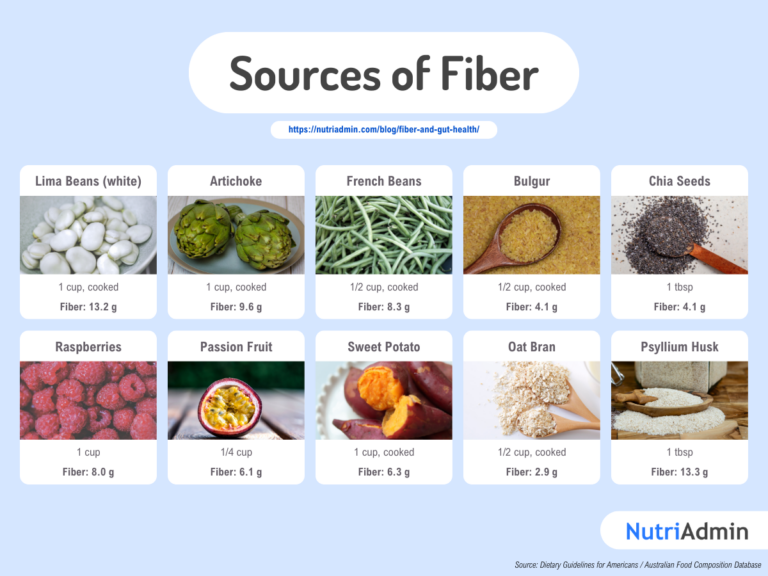Fiber and Gut Health - NutriAdmin Blog